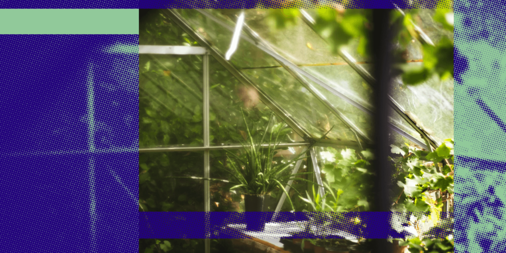 Home - Edinburgh Earth Initiative