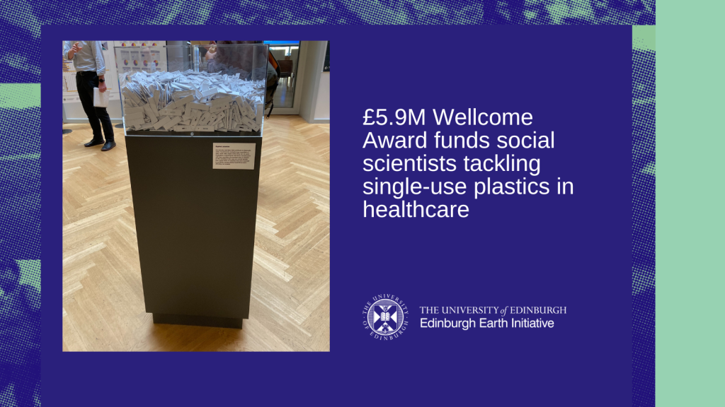 Meet the Earth Fellow | Elizabeth Simmons - Edinburgh Earth Initiative